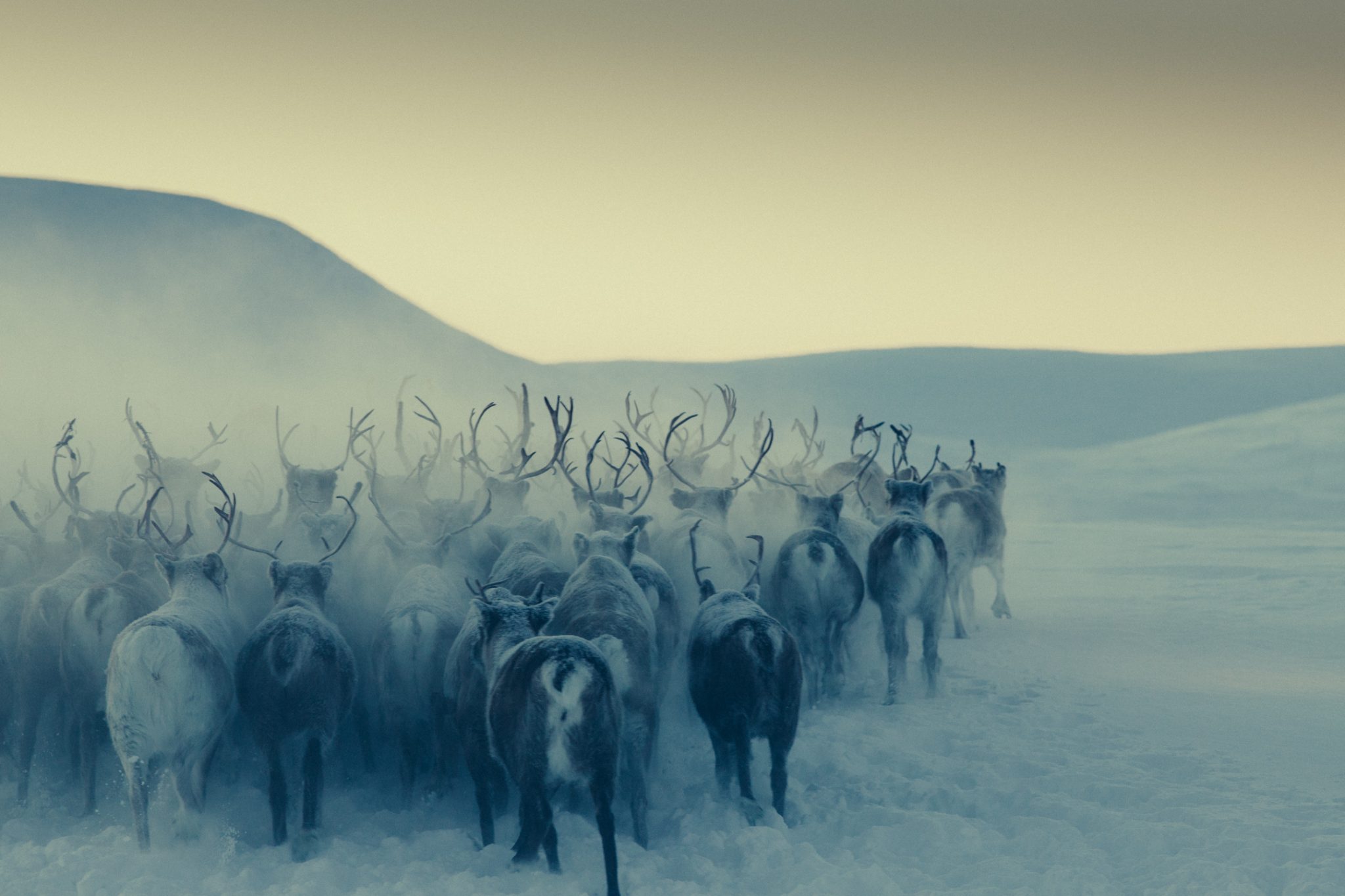 Sami rights - Civil Rights Defenders